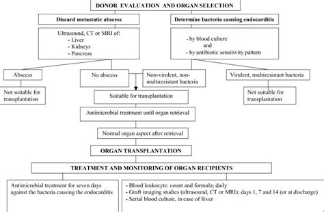 Algorithm Of Evaluation Selection And Treatment Of The Organ Donors Algorithm Of Evaluation Selection And Treatment Of The Organ Donors