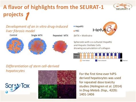 In Vitro Data And In Silico Models For Predictive Toxicology