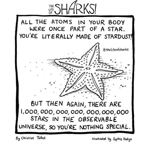 Starfish On Tumblr