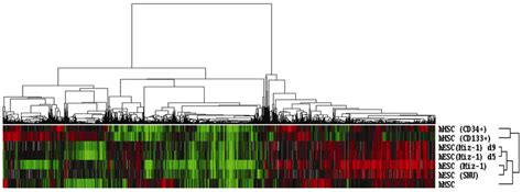 Two Way Hierarchical Clustering Of A Set Of 4666 Clones Expressed In Download Scientific