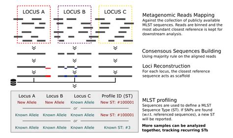 Mlst · Github Topics · Github