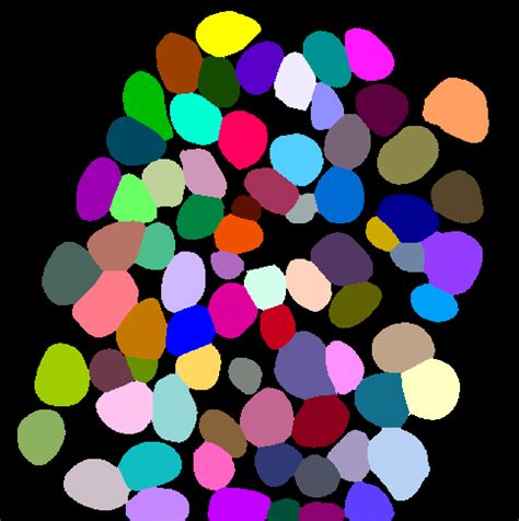 Segmenting Densely Packed Nuclei In 3d Image Analysis Imagesc Forum