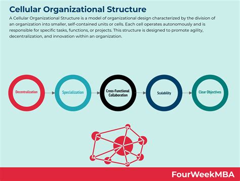 Cellular Organizational Structure Fourweekmba