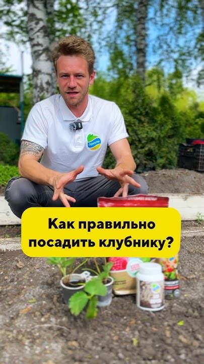 Organicmix сад органикмикс огород удобрения клубника дача цветы органическиеудобрения