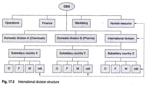 Ibm Organization Chart