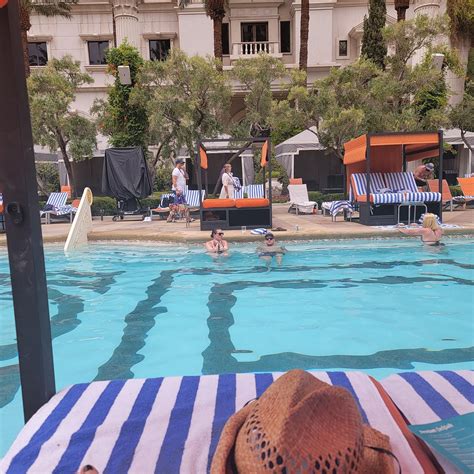 Venus Pool Lounge All You Should Know Before You Go 2026 W Reviews