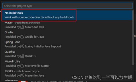 Vscode搭建java开发环境 保姆级教程 Vscode配置java开发环境 Csdn博客