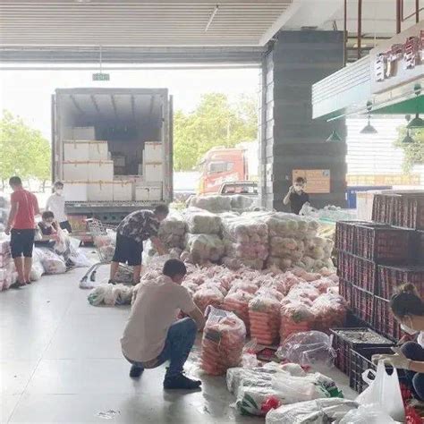 陵水爱心企业捐赠蔬菜助力疫情防控 保障 物资 生活
