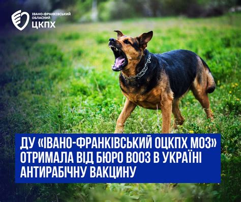 ДУ «Івано Франківський обласний центр контролю та профілактики хвороб МОЗ України отримала від