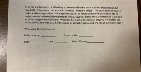 Solved 4 In The Snail Limnaea Shell Coiling Is Determined Chegg Com