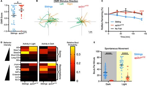 Figure 6 From The Adaptor Protein 2 Ap2 Complex Modulates Habituation