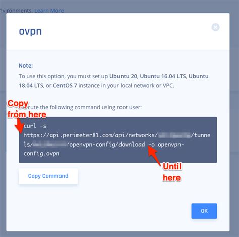 openvpn tunnel