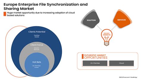 Europe Enterprise File Synchronization And Sharing Market Drivers