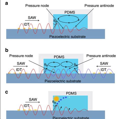 Schematic Diagrams Of Different Types Of Surface Acoustic Waves A