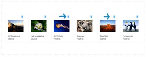 Solved Jquery Remove One Or More Files From Multiple File Field Solveforum