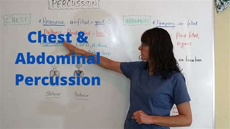 Percussion Notes Heard During Abdominal Assessment At Marilyn Coulter Blog