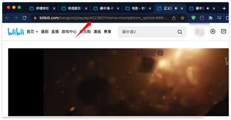 电影的解析问题 · Issue 655 · Nilaodabbdown · Github
