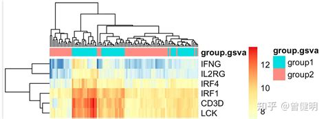 基于基因集的样品队列分组之gsea等打分 知乎