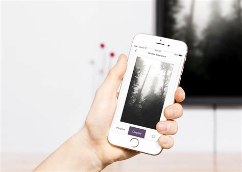 The Internet Of Art The Electric Objects Eo1