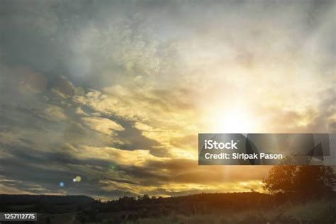 따뜻한 색상과 밝은 태양 광을 흐리게 하는 자연스러운 배경 보케 또는 나무 배경 녹색 에너지 하늘 맑은 색상 오렌지 빛 패턴 일반 추상플레어 저녁 구름 흐림 가을에 대한