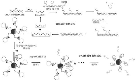 Uranyl Ion Detection Method Eureka Patsnap Develop Intelligence Library