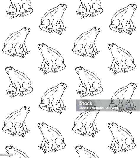 손으로 그린 낙서 스케치 개구리의 벡터 원활한 패턴 개구리에 대한 스톡 벡터 아트 및 기타 이미지 개구리 공단 귀여운 Istock