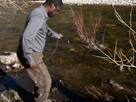 视频 Colorimetric Paper Based Detection Of Escherichia Coli Salmonella