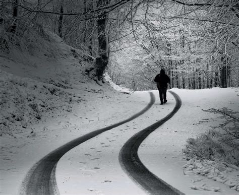 雪中行走背影jpg格式图片下载 熊猫办公