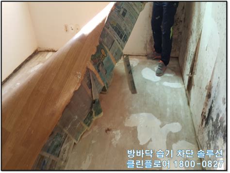 반지하 방바닥 습기 차단 방바닥 습기 제거 방바닥 곰팡이 차단에 방습몰탈방습시트 복합시공 클린플로어 네이버 블로그