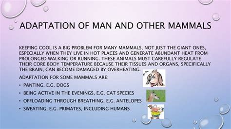 Naked Truth PPTX Skin And Dermatology Diseases And Conditions