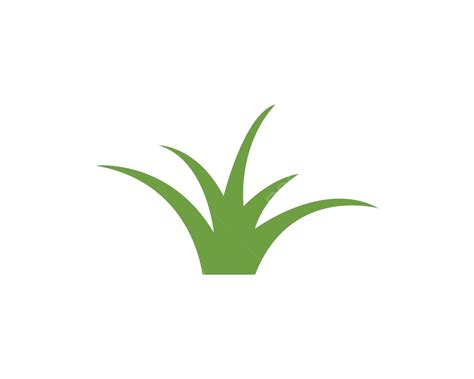 Grass Vector Illustration Template Hill Vector Field Vector Hill