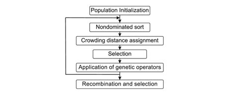 different stages of nsga ii algorithms download scientific diagram