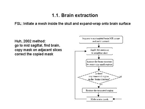 Mri Preprocessing And Segmentation Bias References Segmentation References