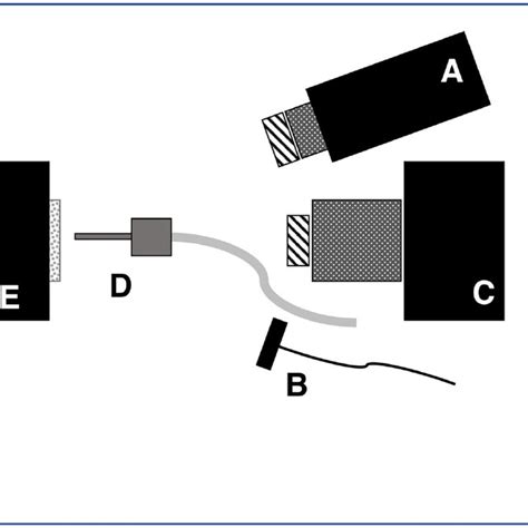 Schematic Of The Experimental Setup Showing A Tungsten Halogen Light Download Scientific