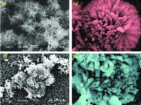 A And B SEM Images Of TiO 2 C And D Bi 2 Se 3 TiO 2 Download Scientific Diagram