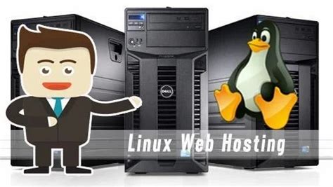 Linux Reseller Hosting In Nagpur Id 8834876488