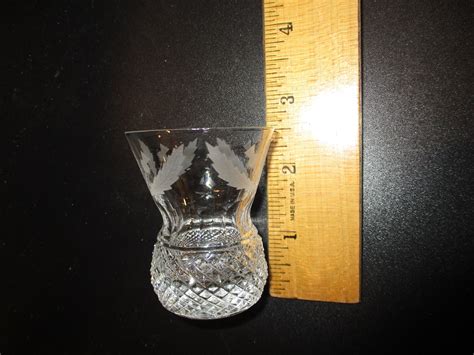 Edinburgh Crystal Thistle Shot Glass Etsy