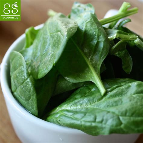 Бисквити със спанак Ecosem Bg