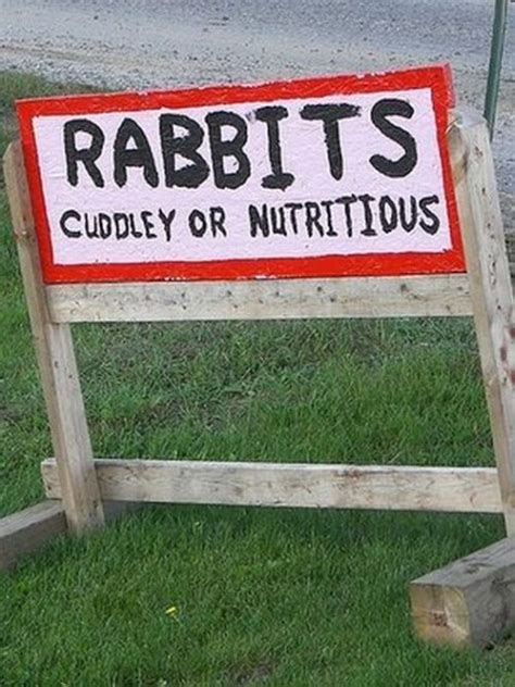 Funny Shop Signs 40 Pics