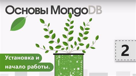 Основы Mongodb Установка и начало работы Урок 2 Youtube