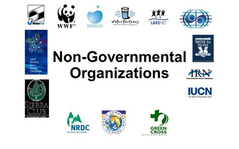 Non Governmental Organization