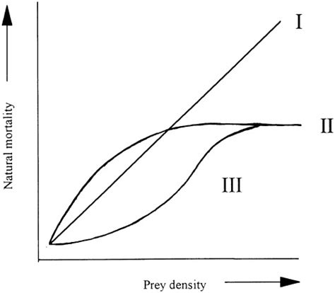 type i ii and iii functional response curves the response curves