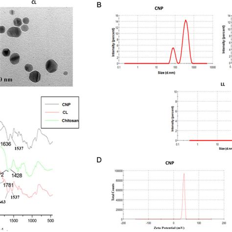 Characterization Of Chitosan Nanoparticles Cnps Mtb Lipid Coated Download Scientific Diagram