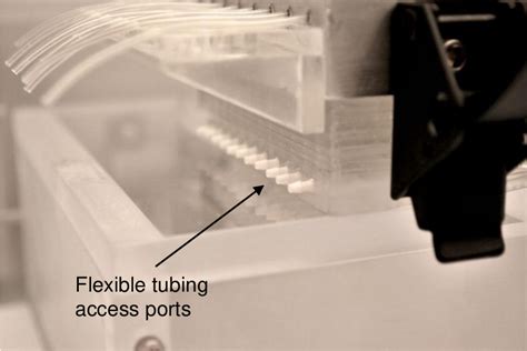 Figure 1 From Design Of A Versatile And Disposable Microfluidic Chip