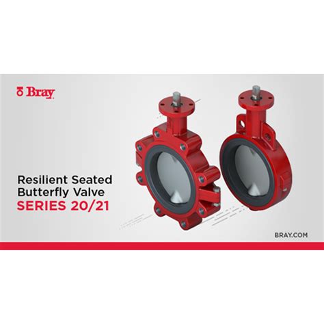 Bray 31h Series Butterfly Valve Flosource
