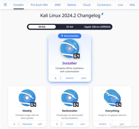 Vmware Workstation17 5 2 安装kali Linux虚拟机 Vmware Workstation 17 5 2 Csdn博客