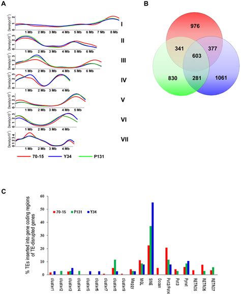 Transposable Elements Tes A Distribution Of Tes On Seven
