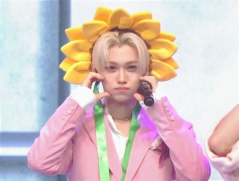 Felix 😈에 있는 Tuna 님의 핀 펠릭스