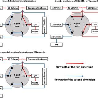 Schematic Diagram Of The Analysis Process In The 2D LCMS MS System