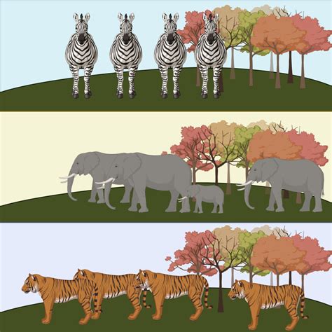 Levels Of Ecological Organization Definition Examples Biology